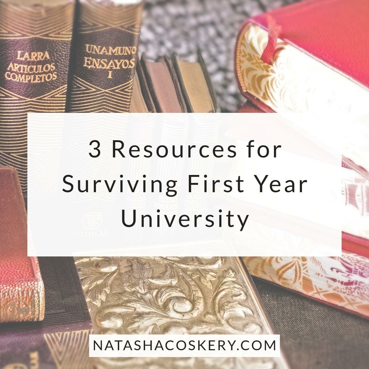 3 Resources for Surviving First Year University